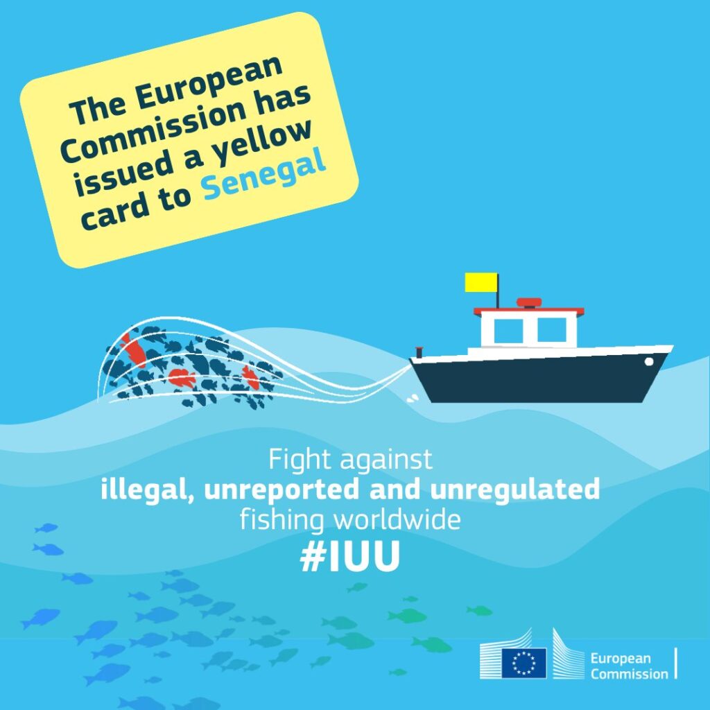 Fight against illegal, unreported and unregulated fishing: the European ...